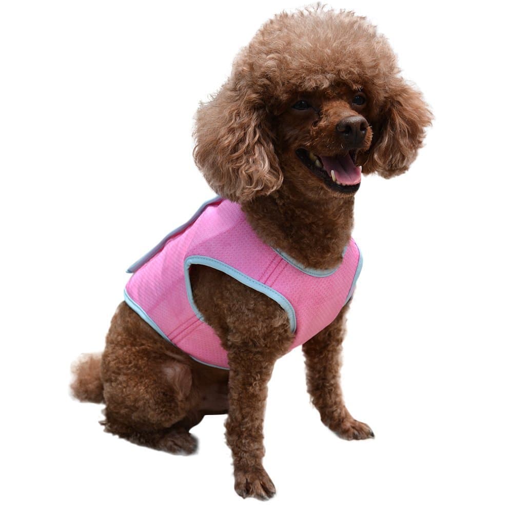 The Best Dog Cooling Vests in 2023 | PawGearLab The Best Dog Cooling Vests in 2023 | PawGearLab