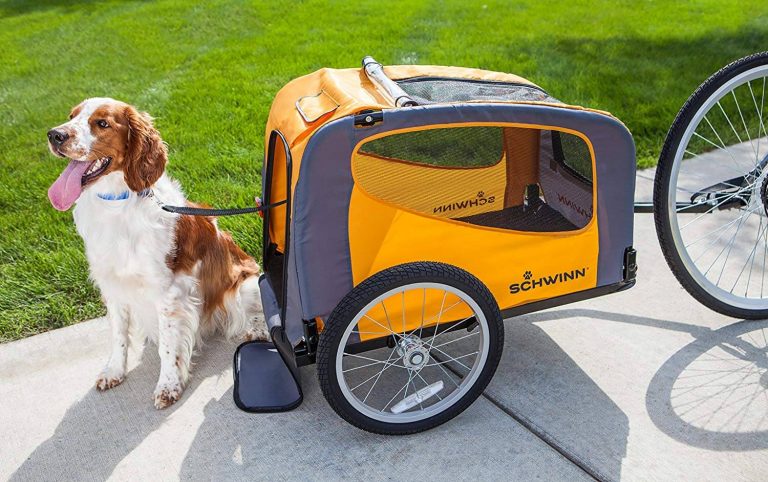 The Best Dog and Pet Bike Trailers in 2025 | PawGearLab