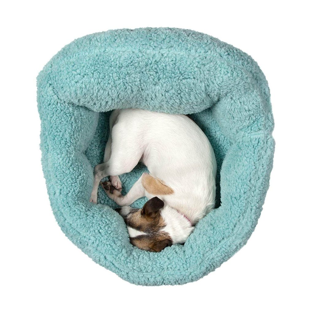 The Best Small Dog Beds in 2025 | PawGearLab