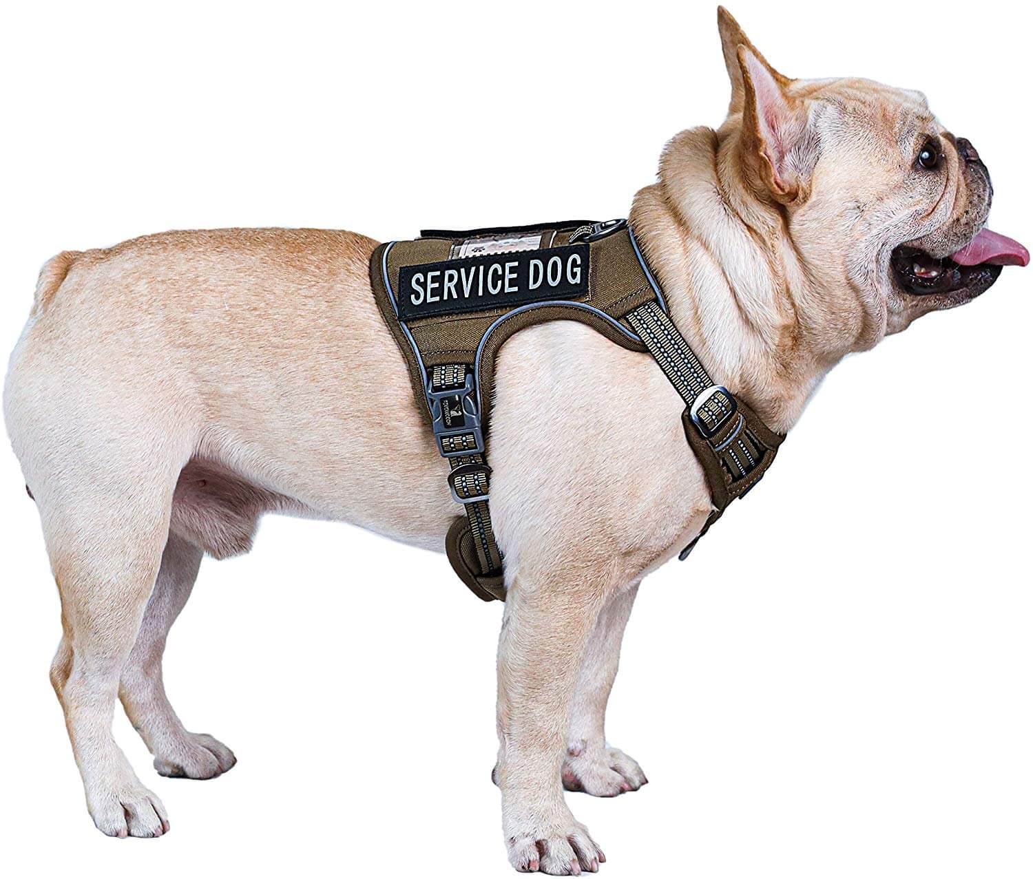 The Best Tactical Dog Harnesses (Reviews) in 2025 | PawGearLab