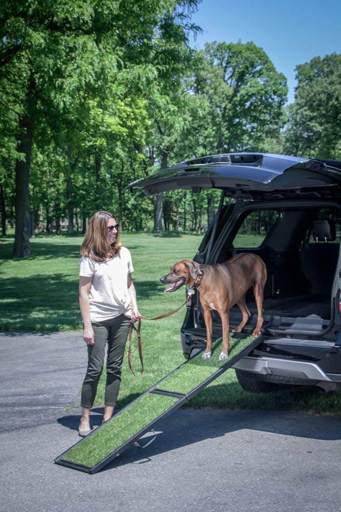 5 Best Dog Ramps for Cars/SUVs/Trucks 2019 | Pawgearlab