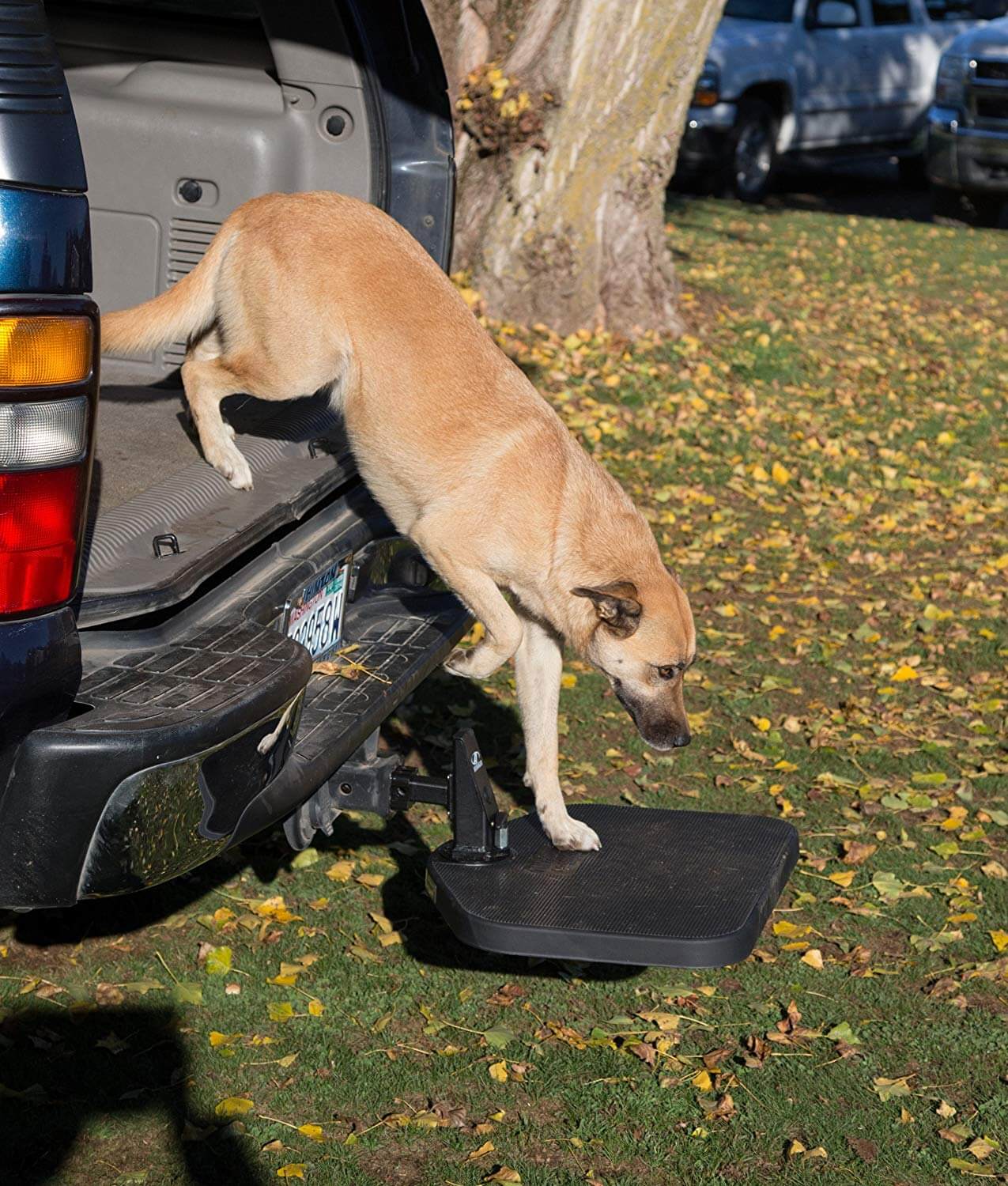 5 Best Dog Ramps for Cars/SUVs/Trucks 2019 | Pawgearlab