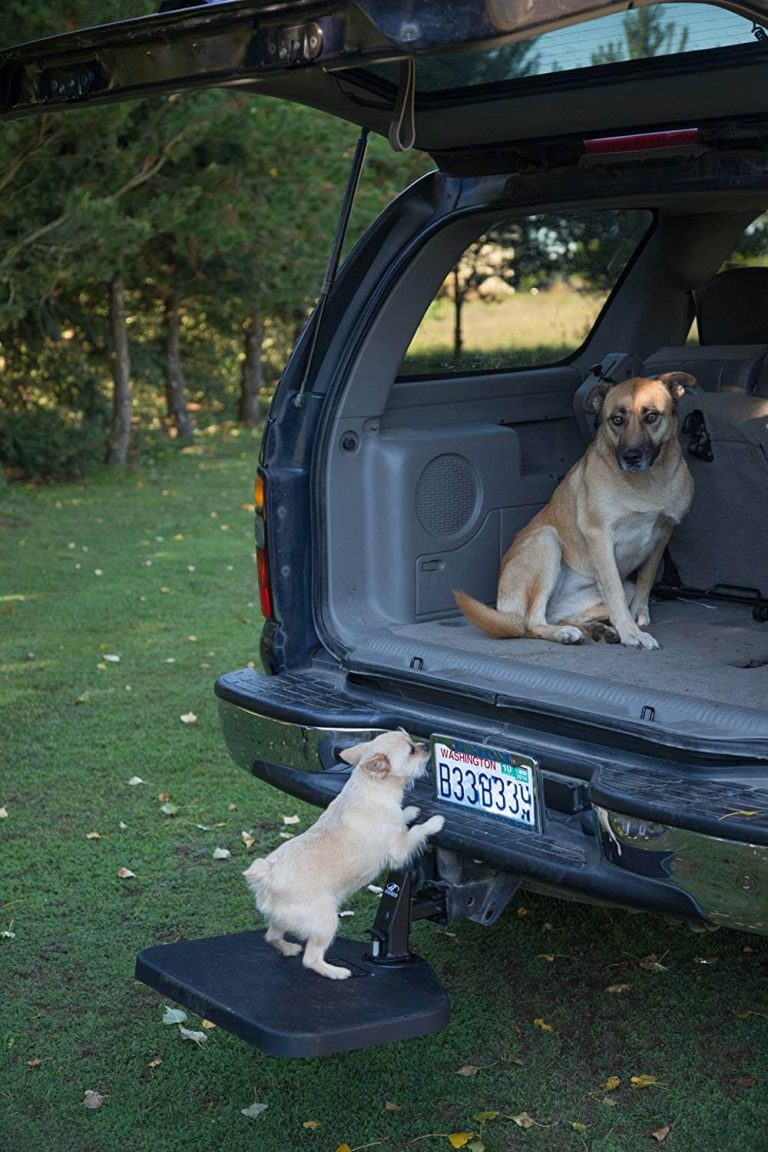 5 Best Dog Ramps for Cars/SUVs/Trucks 2019 | Pawgearlab