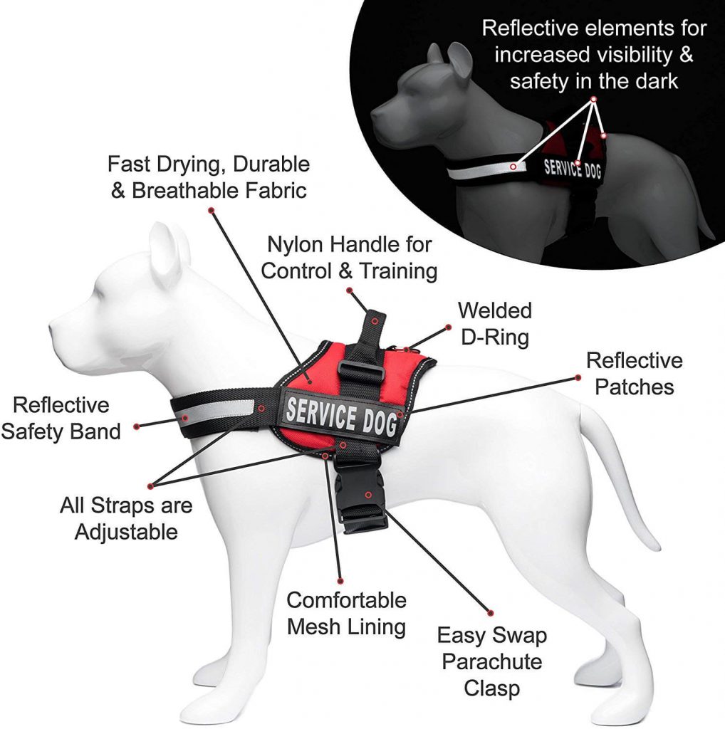 The Best Service Dog Vests in 2025 | PawGearLab