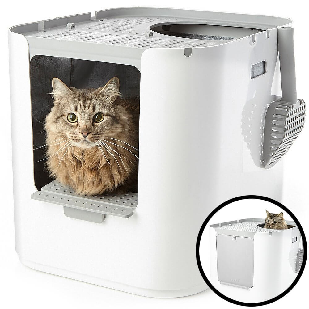The Best Top Entry Cat Litter Boxes in 2023 | PawGearLab