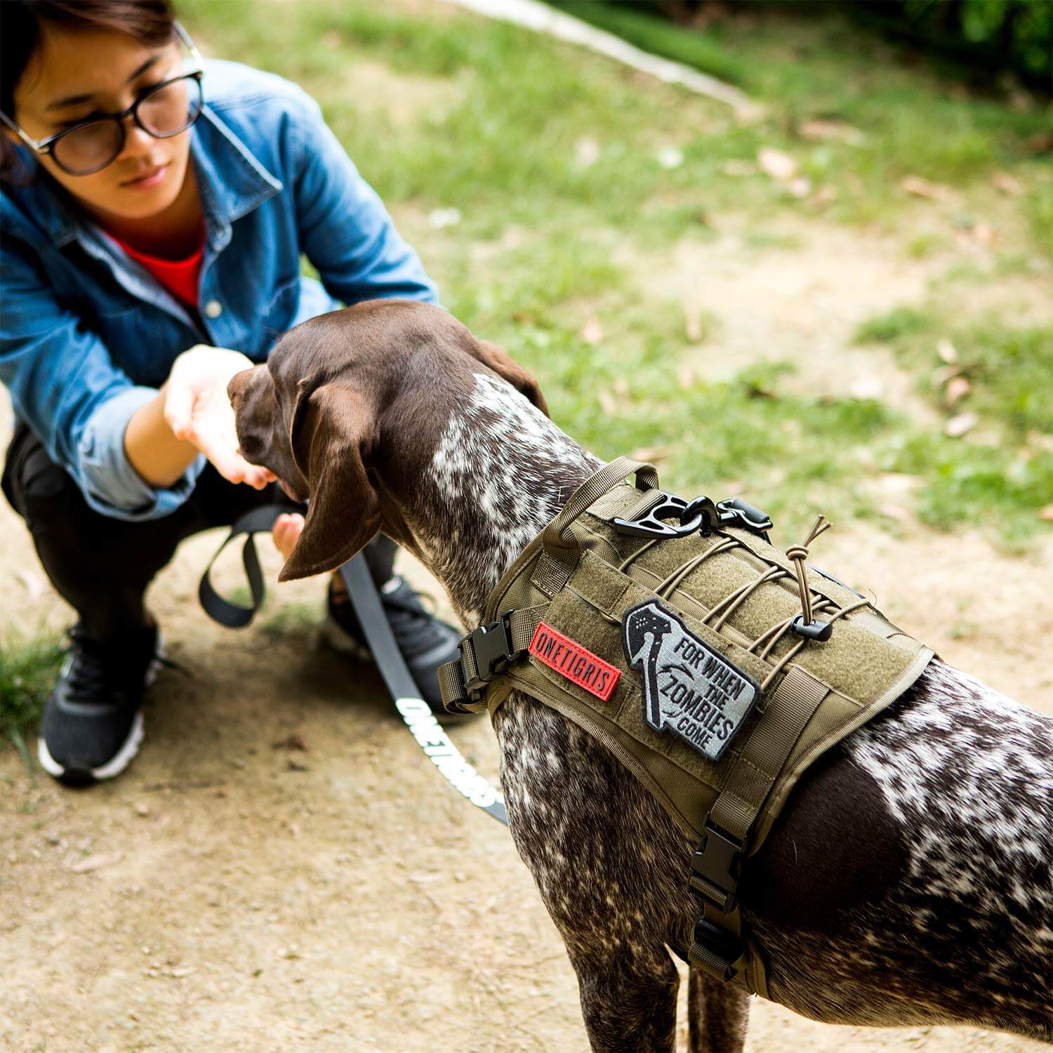 The Best Tactical Dog Harnesses (Reviews) in 2025 | PawGearLab