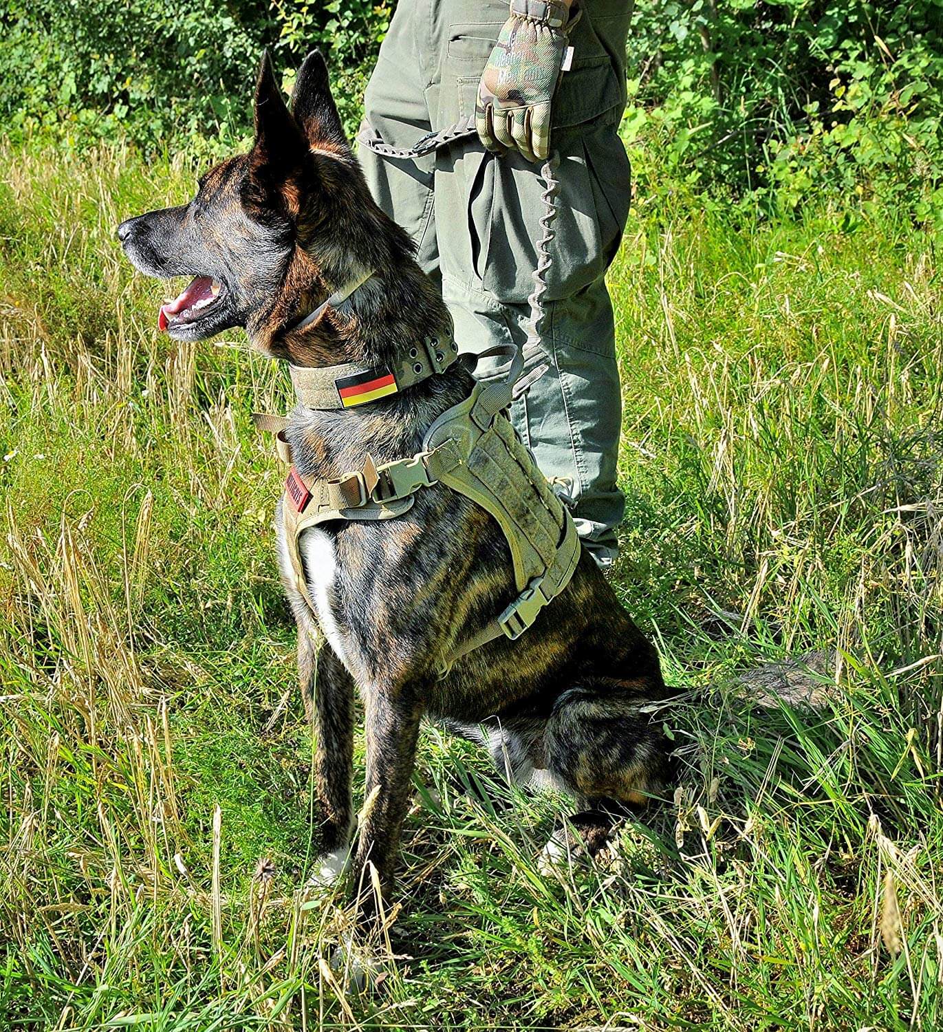 The Best Tactical Dog Harnesses (Reviews) in 2025 | PawGearLab