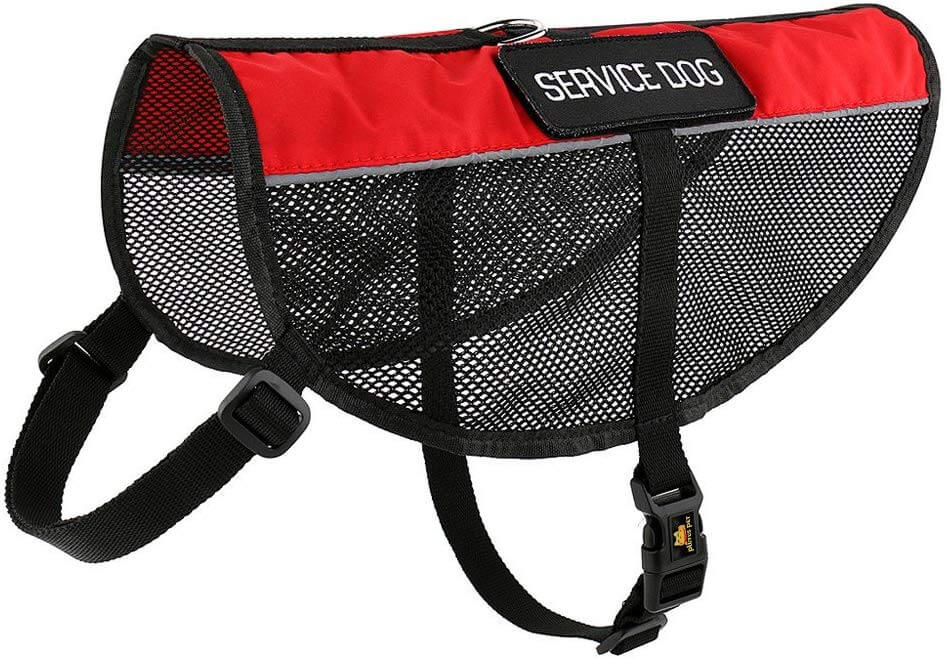 The Best Service Dog Vests in 2025 | PawGearLab
