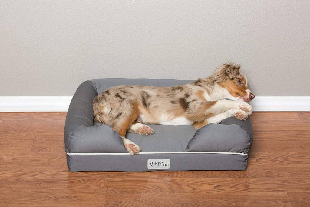 The Best Orthopedic Dog Beds in 2025 | PawGearLab