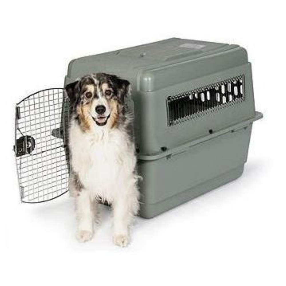 [2020] The Top 5 Heavy Duty Dog Crates | PawGearLab