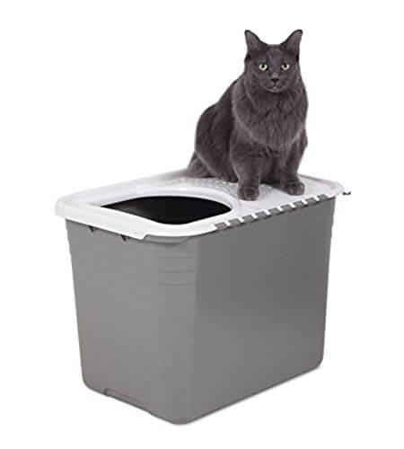 The Best Top Entry Cat Litter Boxes in 2023 | PawGearLab