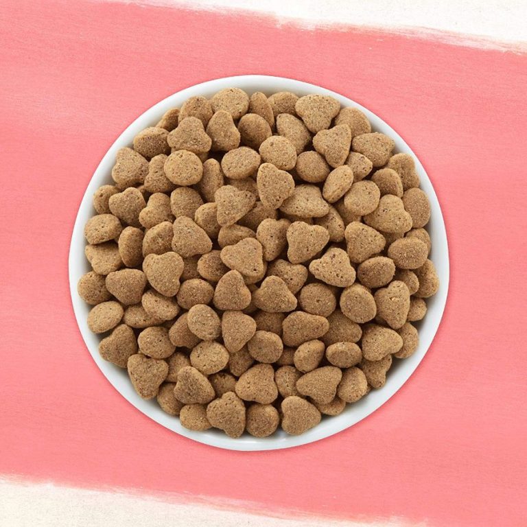 The 5 Best Cat Foods For Sensitive Stomachs In 2023 Pawgearlab