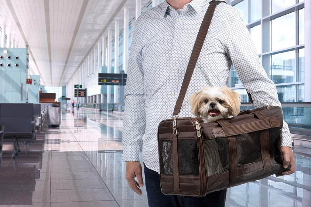 The Best Airline Approved Dog Carriers and Crates | PawGearLab