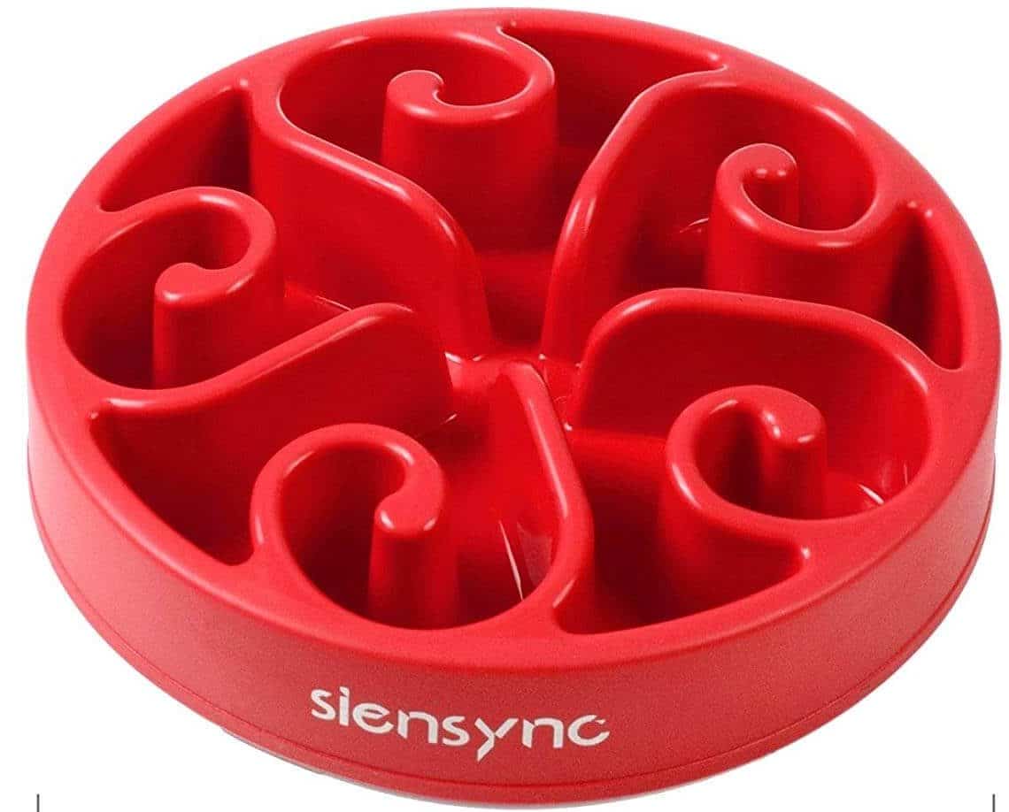 The Best Slow Feed Bowls for Dogs and Cats | PawGearLab