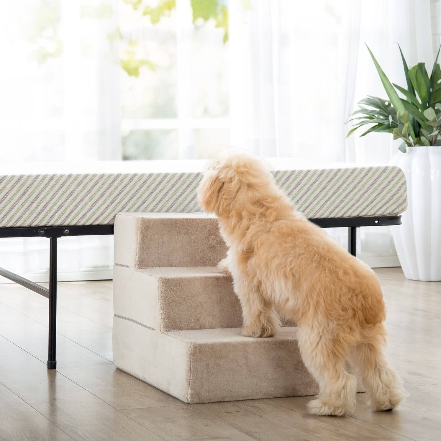The Best Dog Stairs for Bed in 2023 | PawGearLab