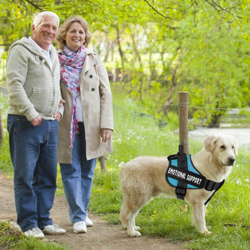 The Best Service Dog Vests in 2025 | PawGearLab